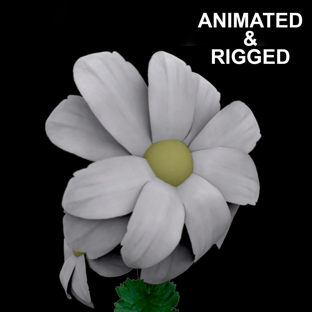 Flowers Open Animation 3D Model - TurboSquid 1553178