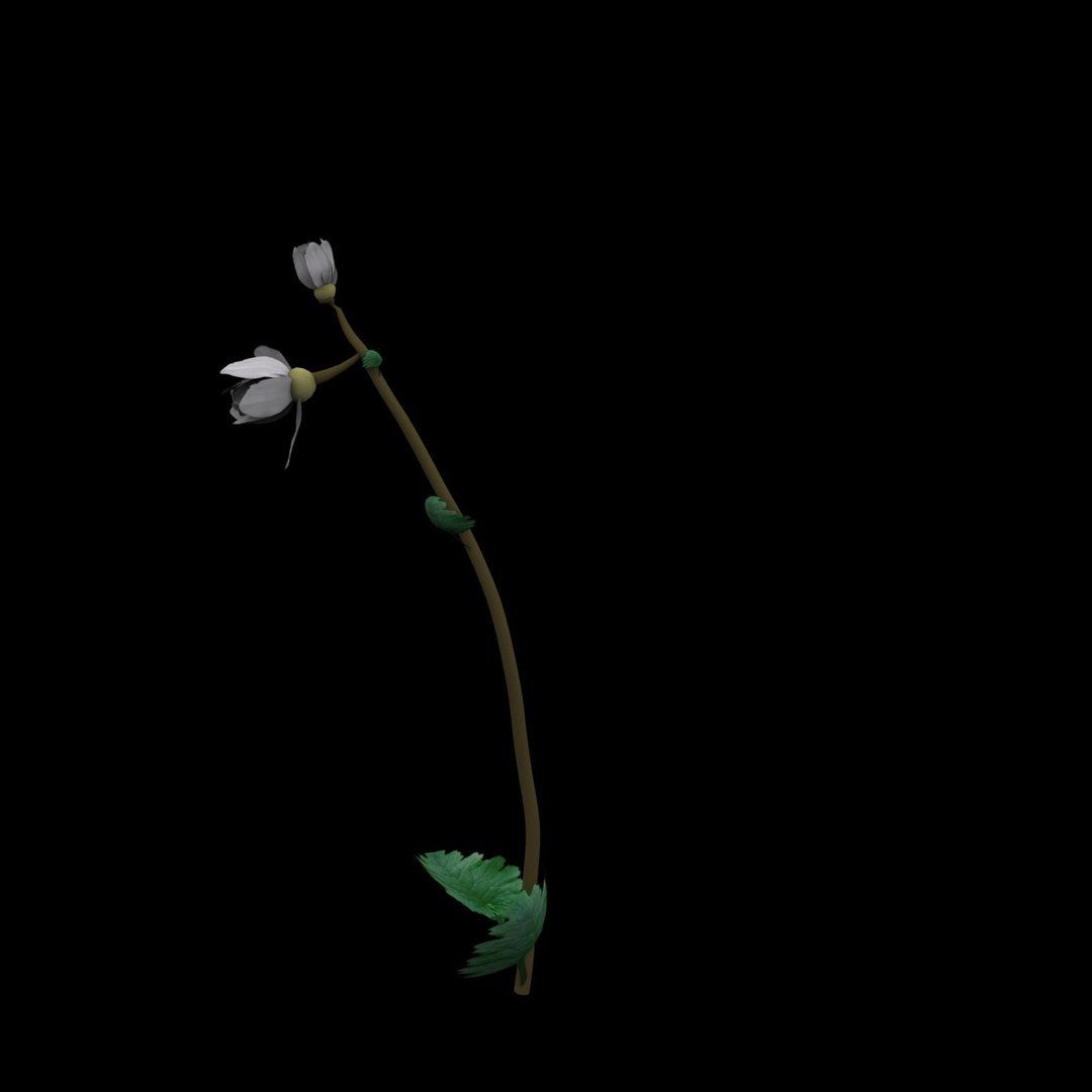 Flowers Open Animation 3D Model - TurboSquid 1553178