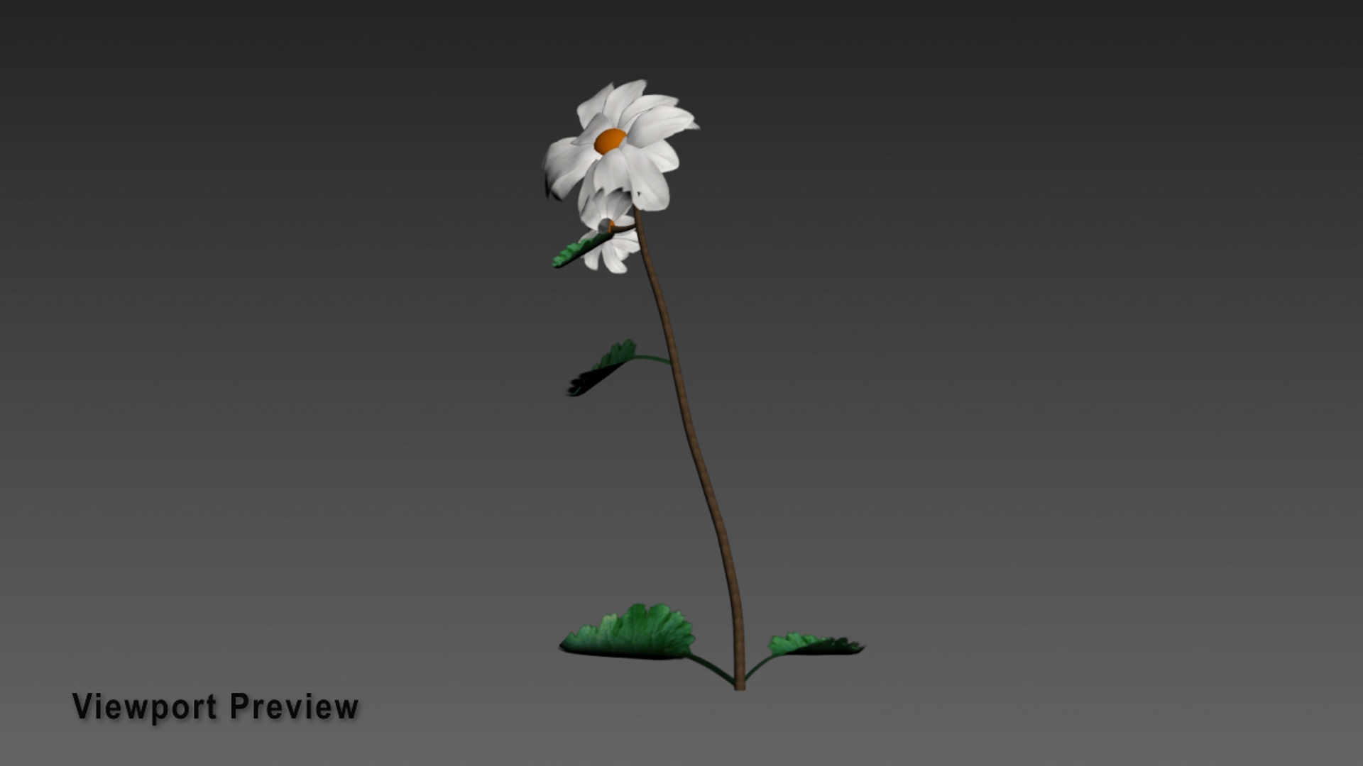 Flowers Open Animation 3D Model - TurboSquid 1553178
