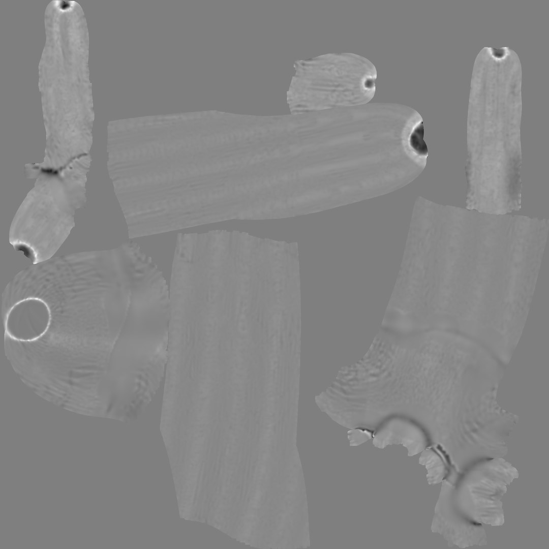 human thorax organs 3d c4d