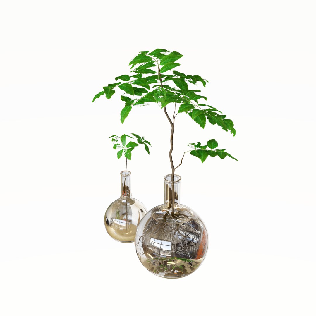 Flask Plant 3D | 1144968 | TurboSquid