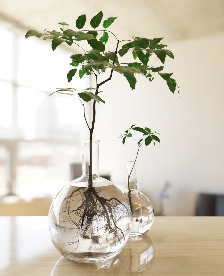 Flask Plant 3D | 1144968 | TurboSquid