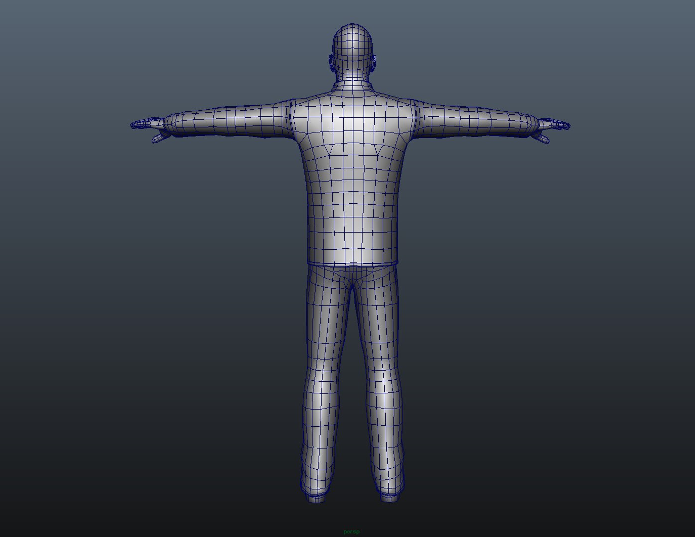 Human Man 3d Model