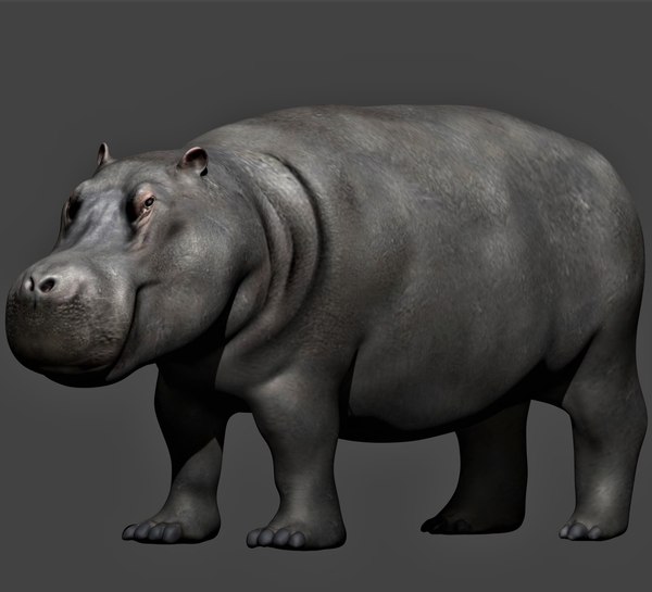 Fully rigged low poly zebra model - TurboSquid 1748780