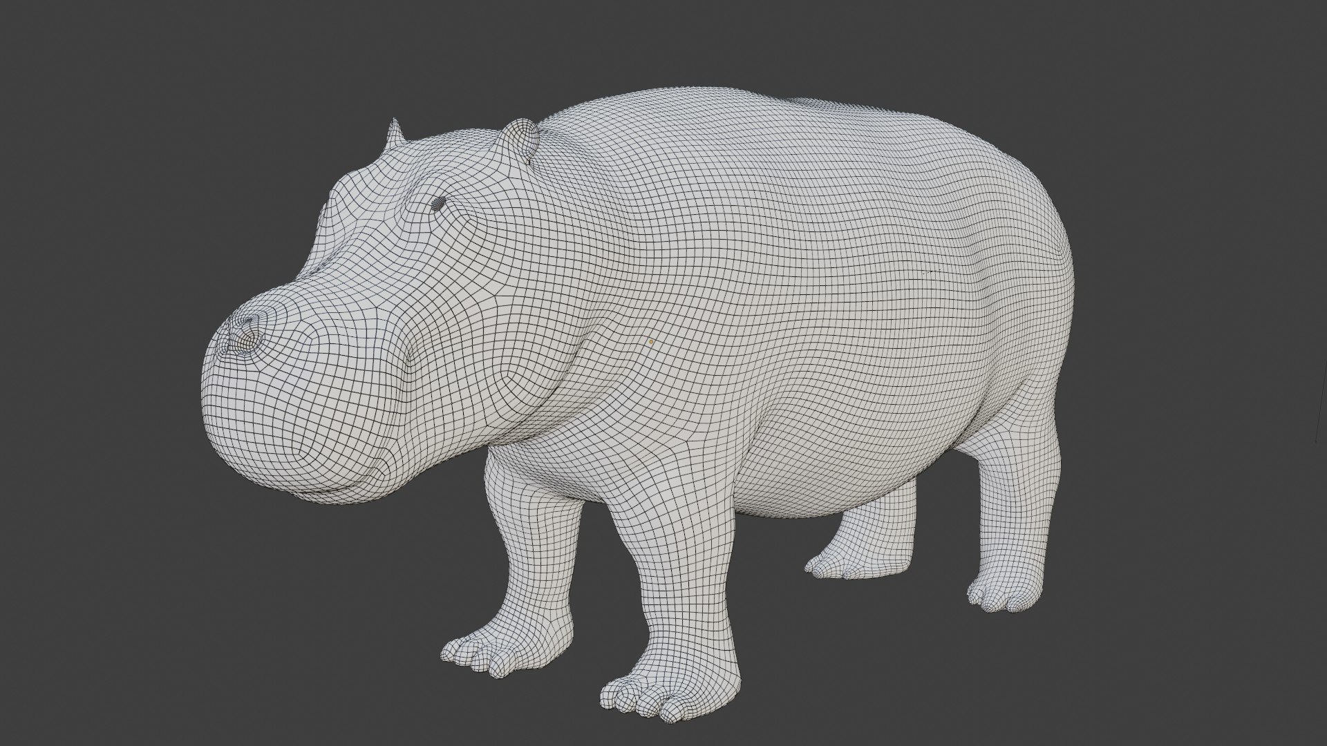 Realistic rigged hippopotamus 3D model - TurboSquid 1683848