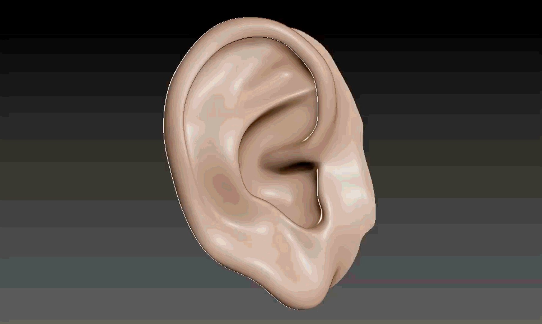3ds max realistically human ear