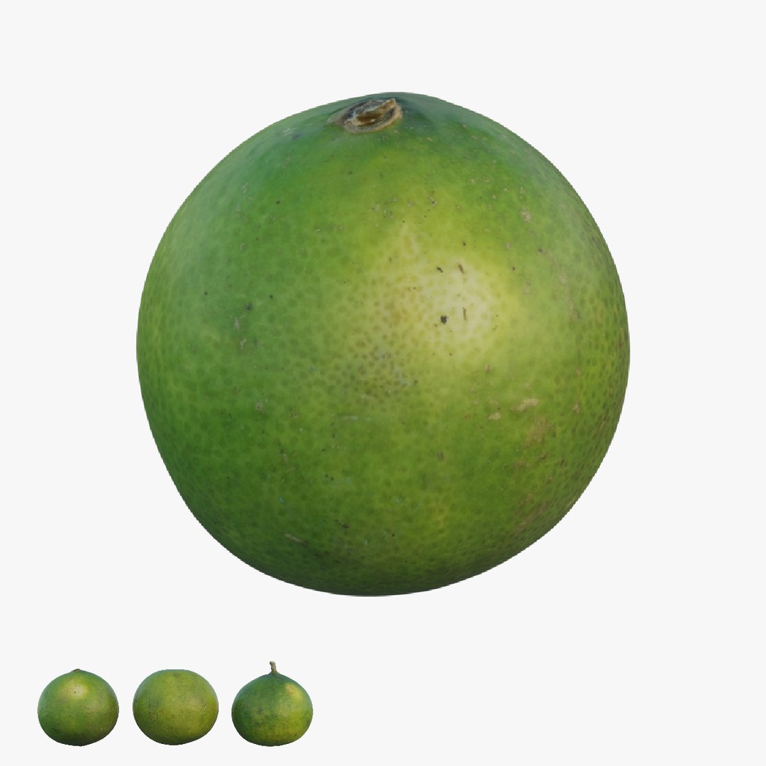 3D Lime Model - TurboSquid 1917187