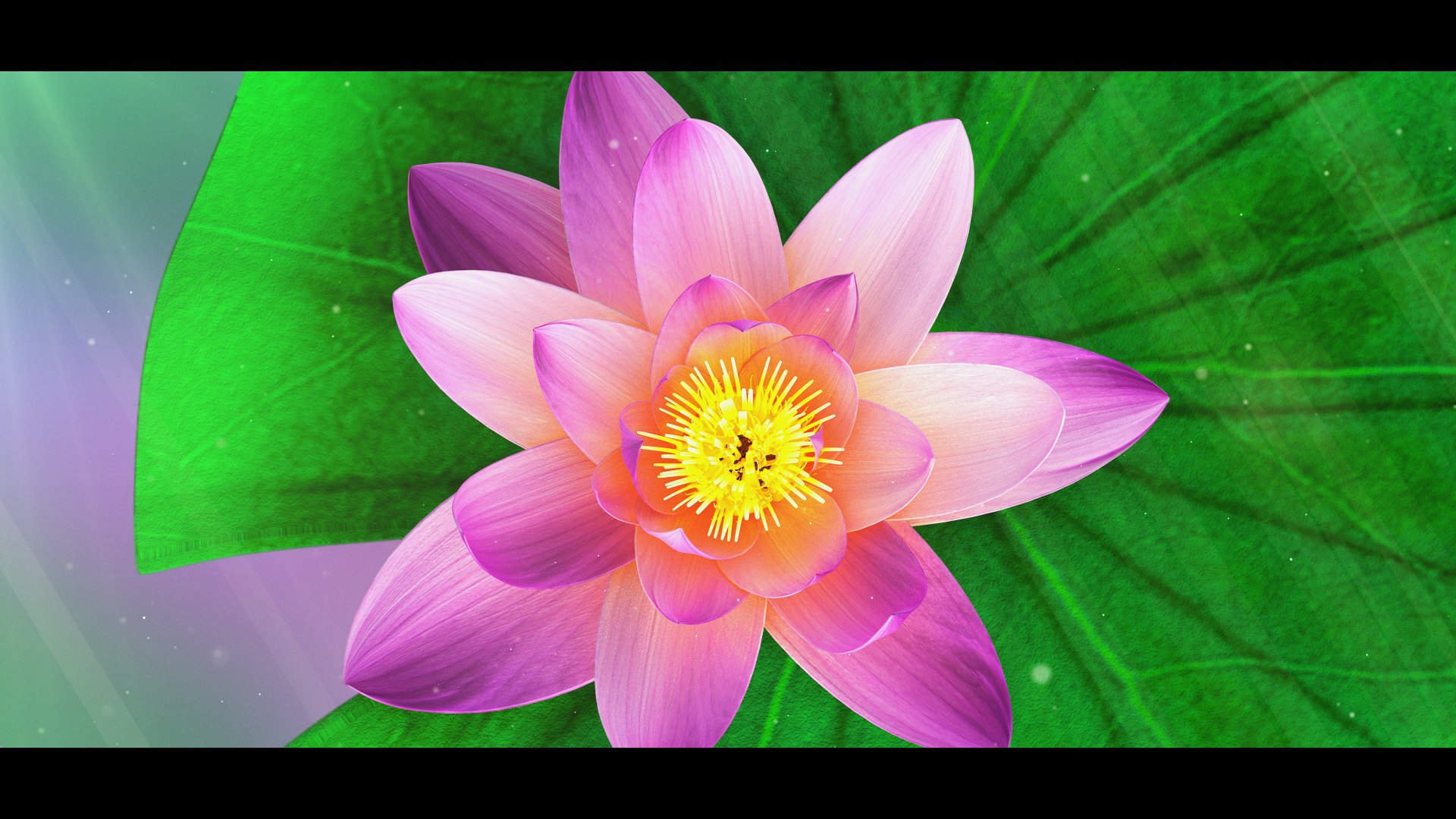 3D Blooming Lily Animation Model - TurboSquid 1696796