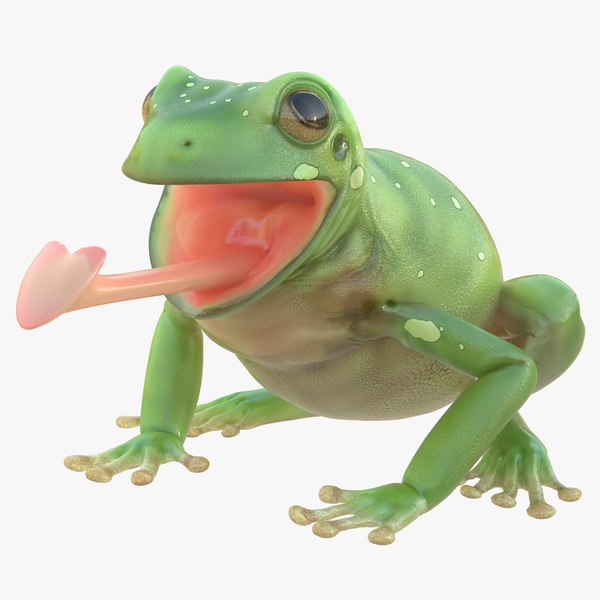 3d australian green tree frog