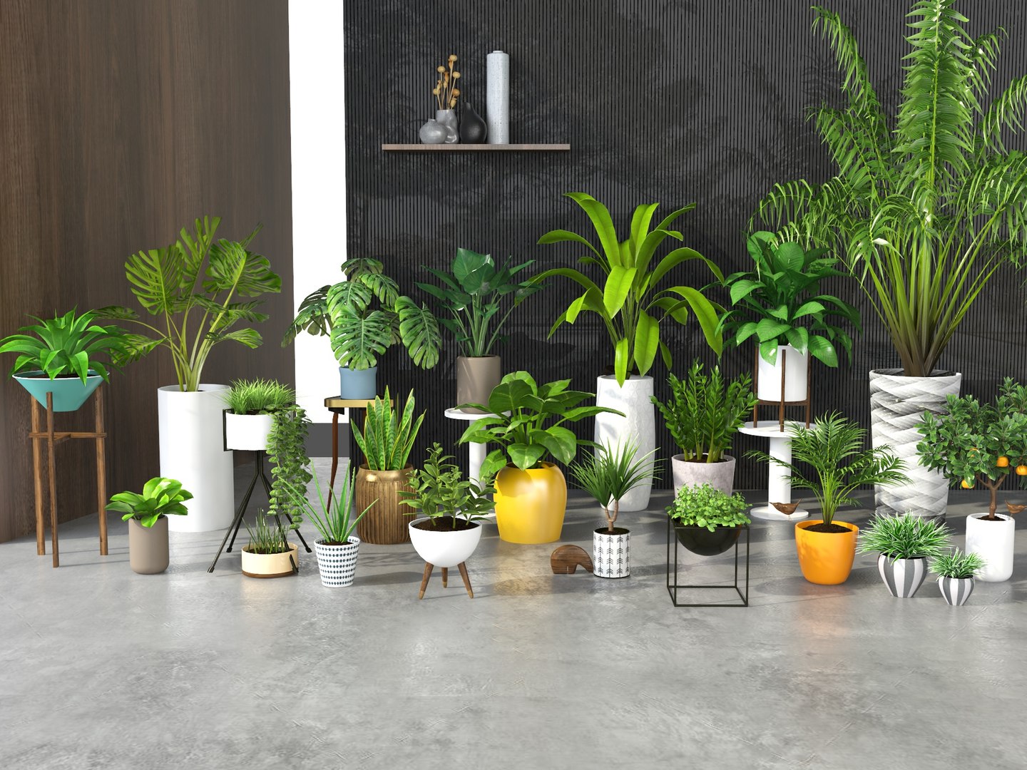 3D Model Collection Of Plants In Pots Model - TurboSquid 1941706