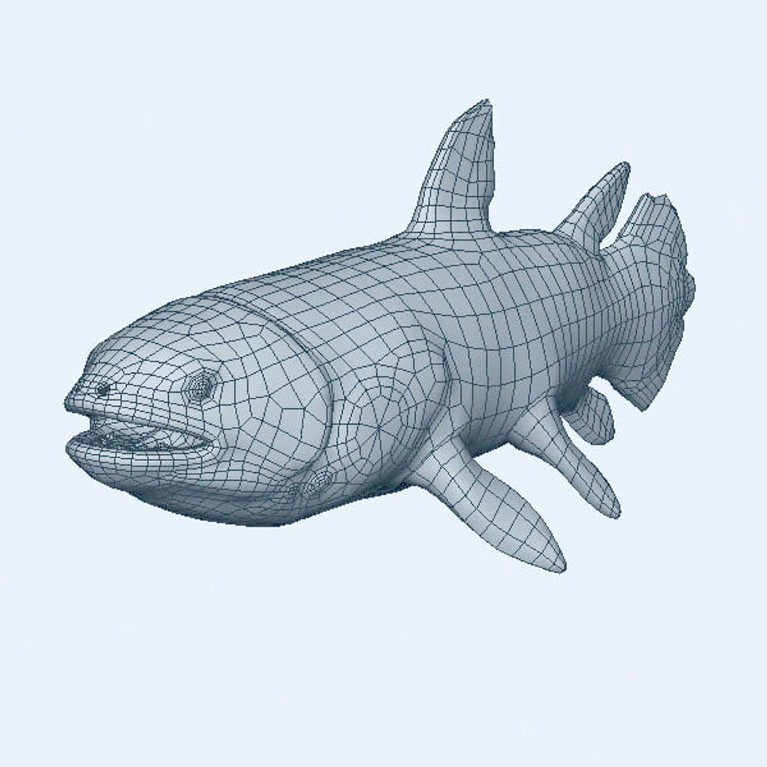 Rhizodus Coelacanth Model - TurboSquid 1443201