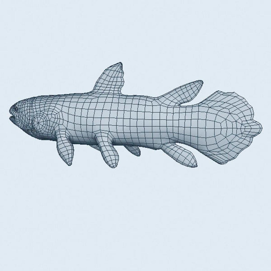 Rhizodus Coelacanth Model - TurboSquid 1443201