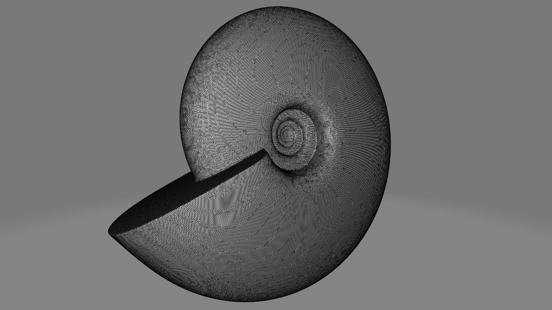 Discocone Conch Smooth 3D Model - TurboSquid 1476360