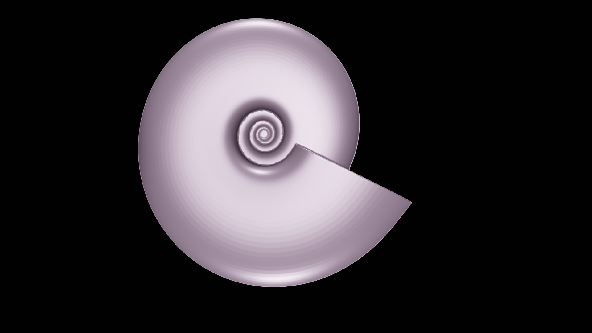 Discocone Conch Smooth 3D Model - TurboSquid 1476360