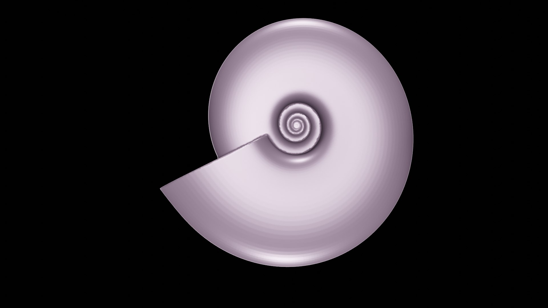 Discocone Conch Smooth 3D Model - TurboSquid 1476360