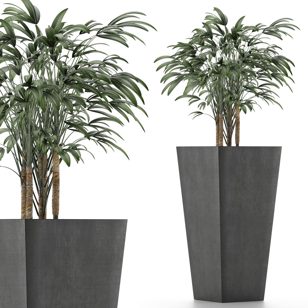 Single plant 09 3D model - TurboSquid 1586387