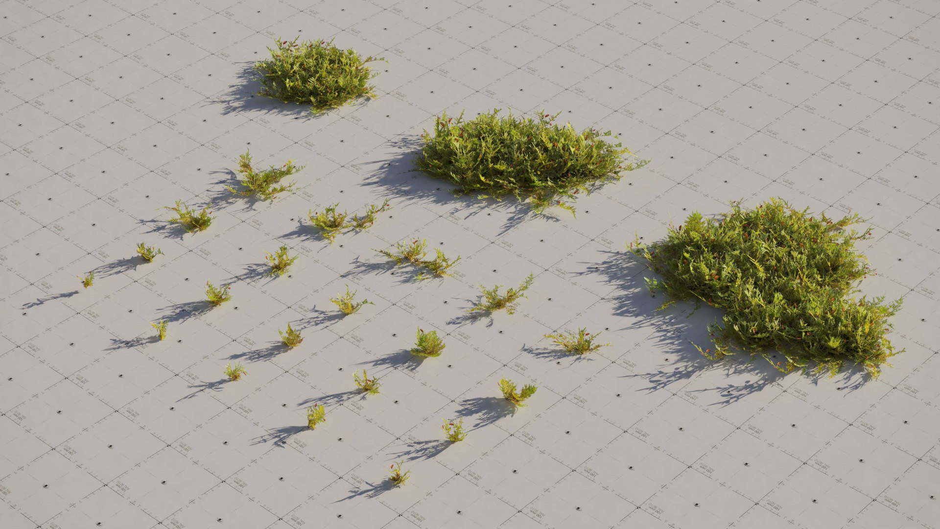 3D Model Moss 7 Species Stones - TurboSquid 1403092