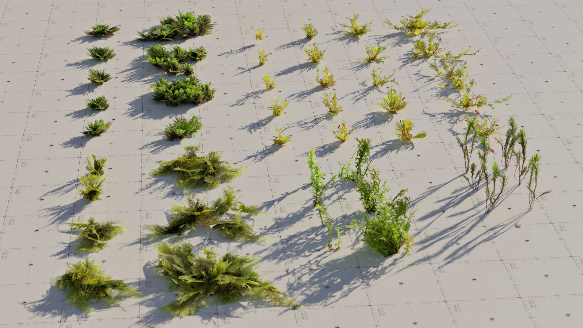 3D model moss 7 species stones - TurboSquid 1403092