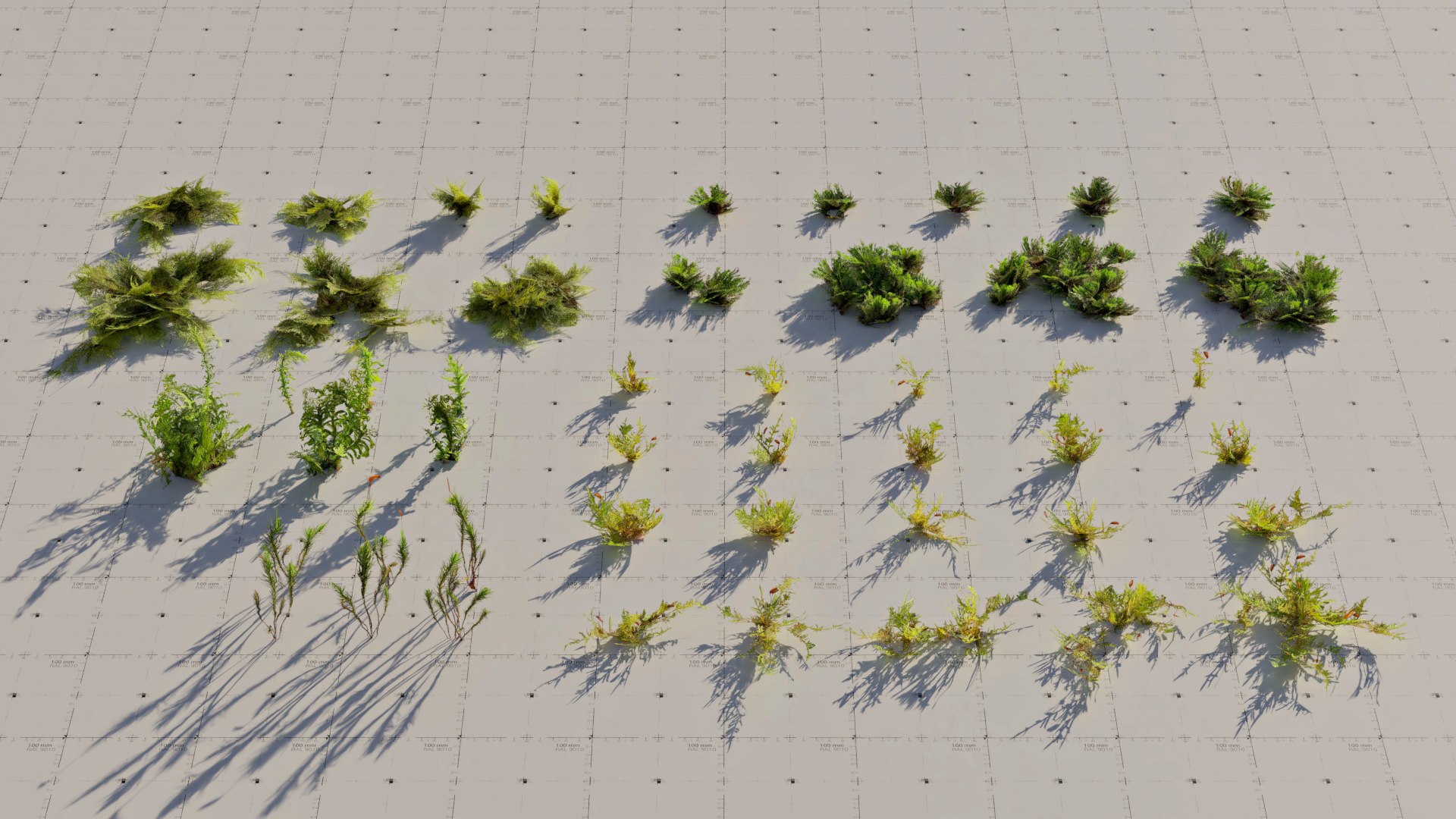 3D Model Moss 7 Species Stones - TurboSquid 1403092