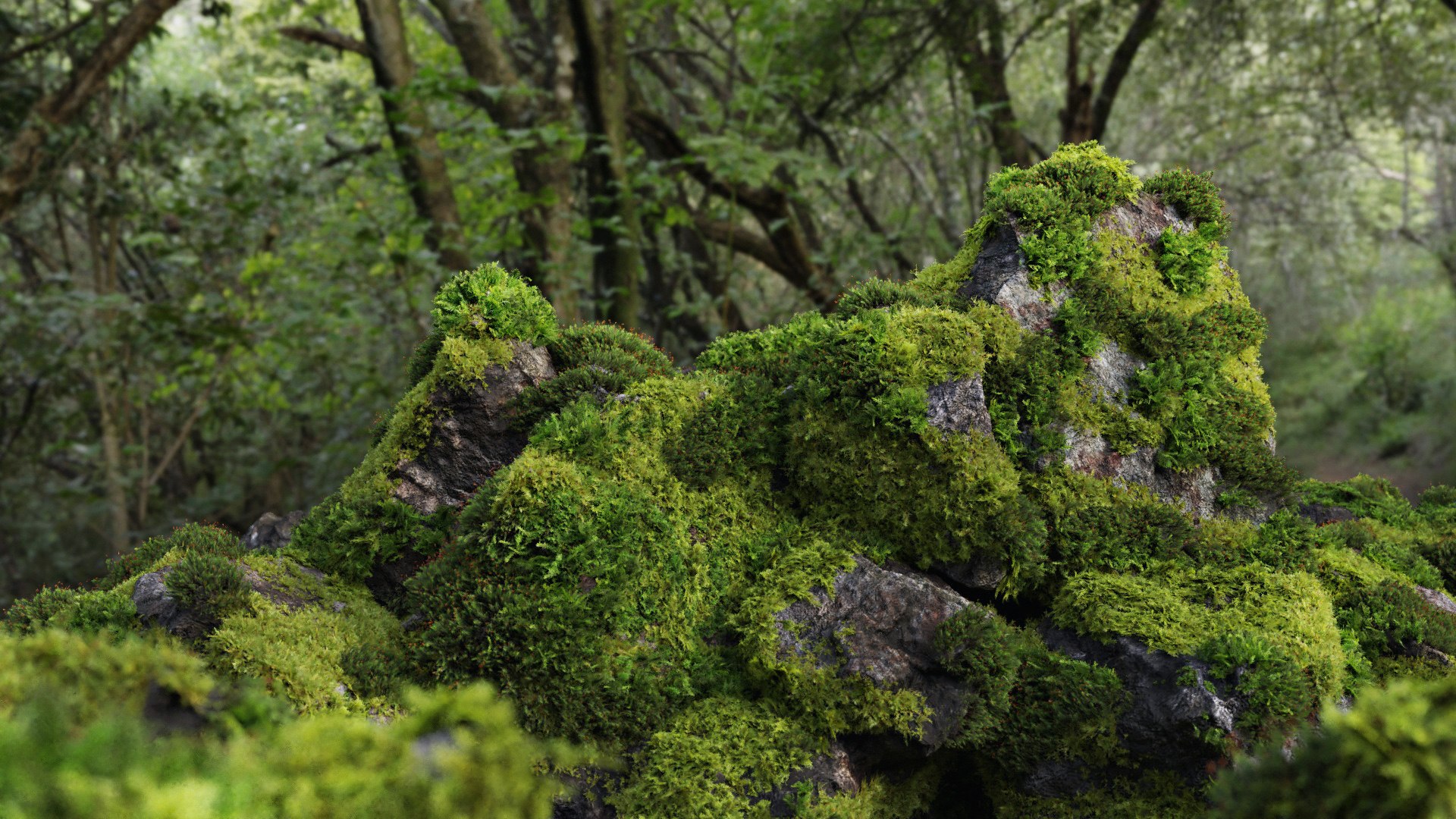 3D model moss 7 species stones - TurboSquid 1403092