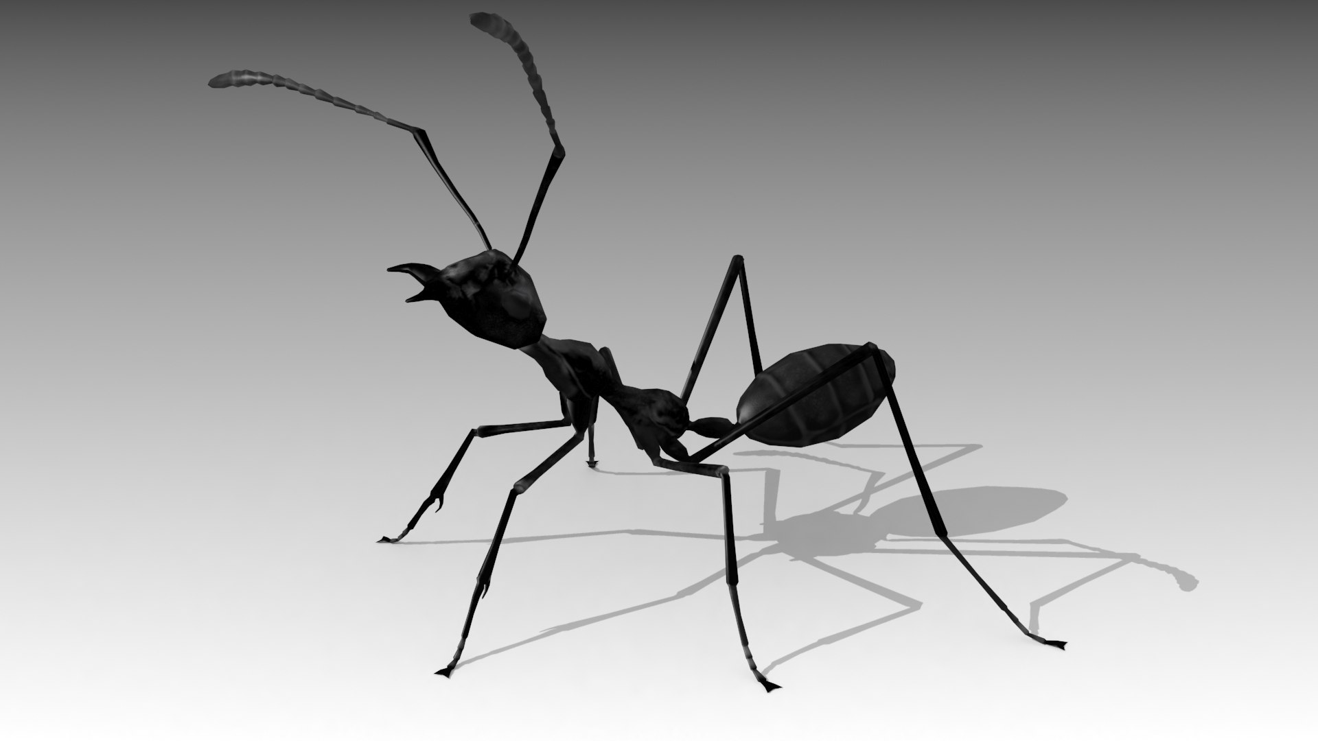 3D ant animations - TurboSquid 1333816