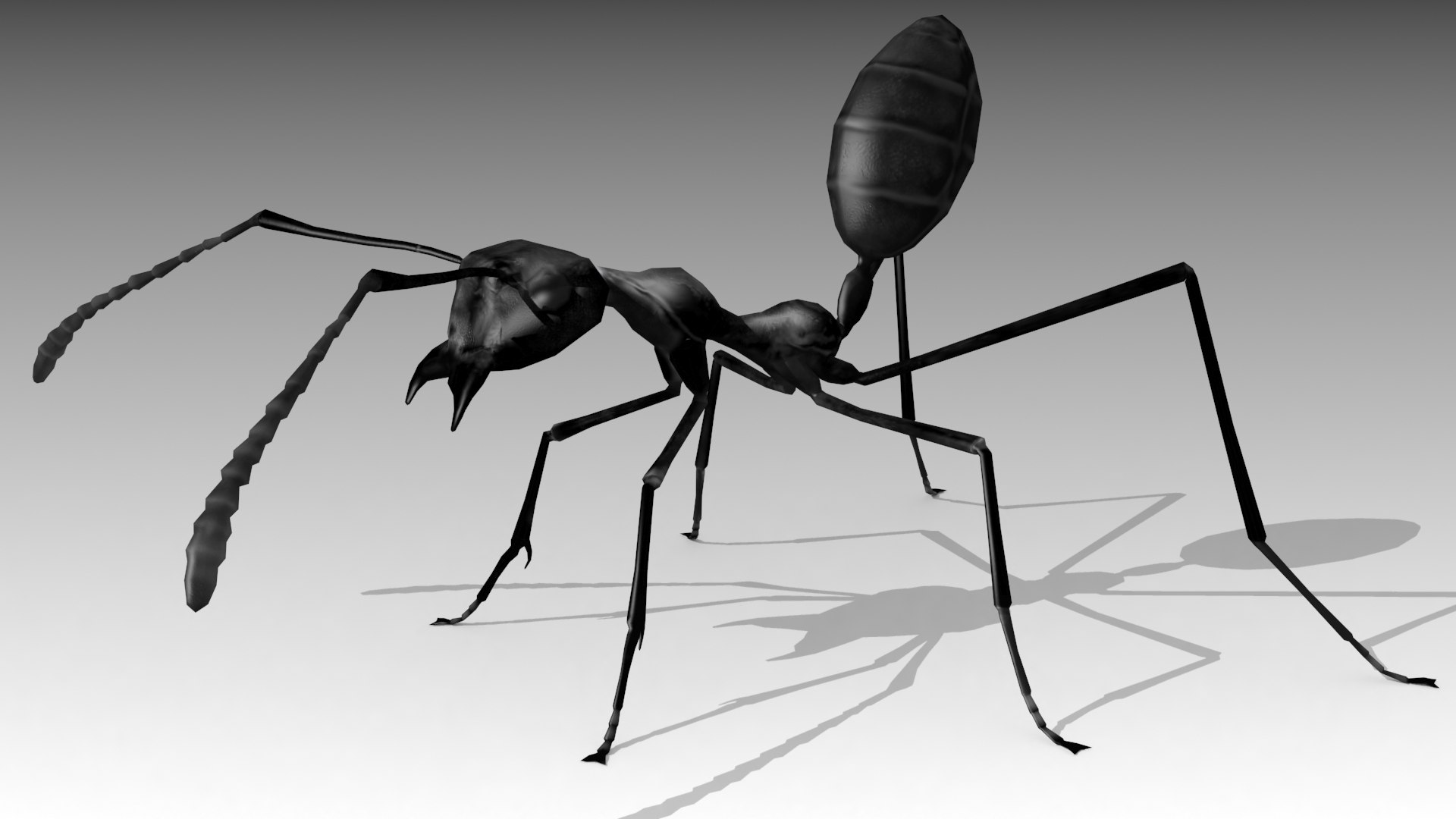 3D ant animations - TurboSquid 1333816