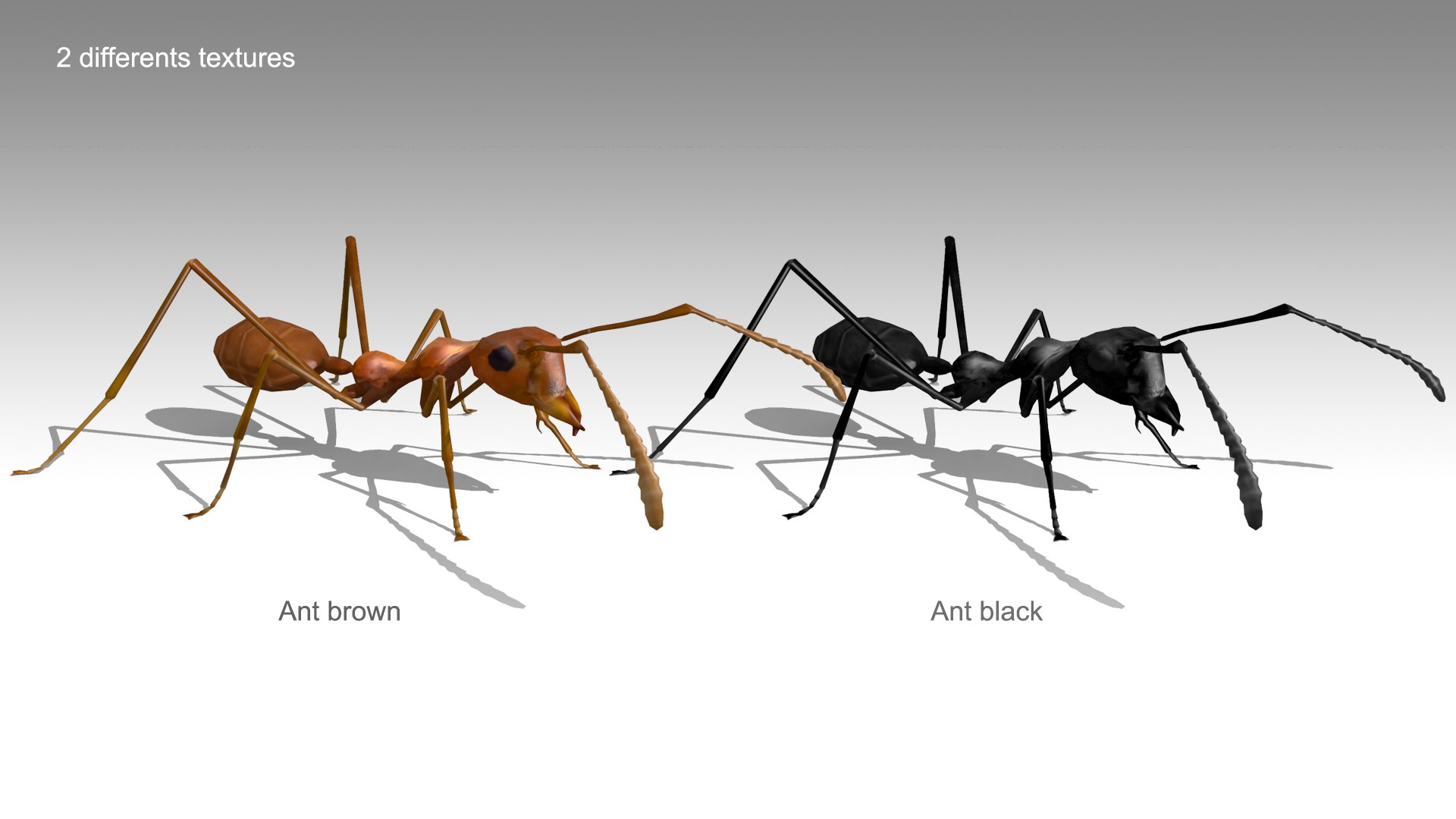 3D ant animations - TurboSquid 1333816