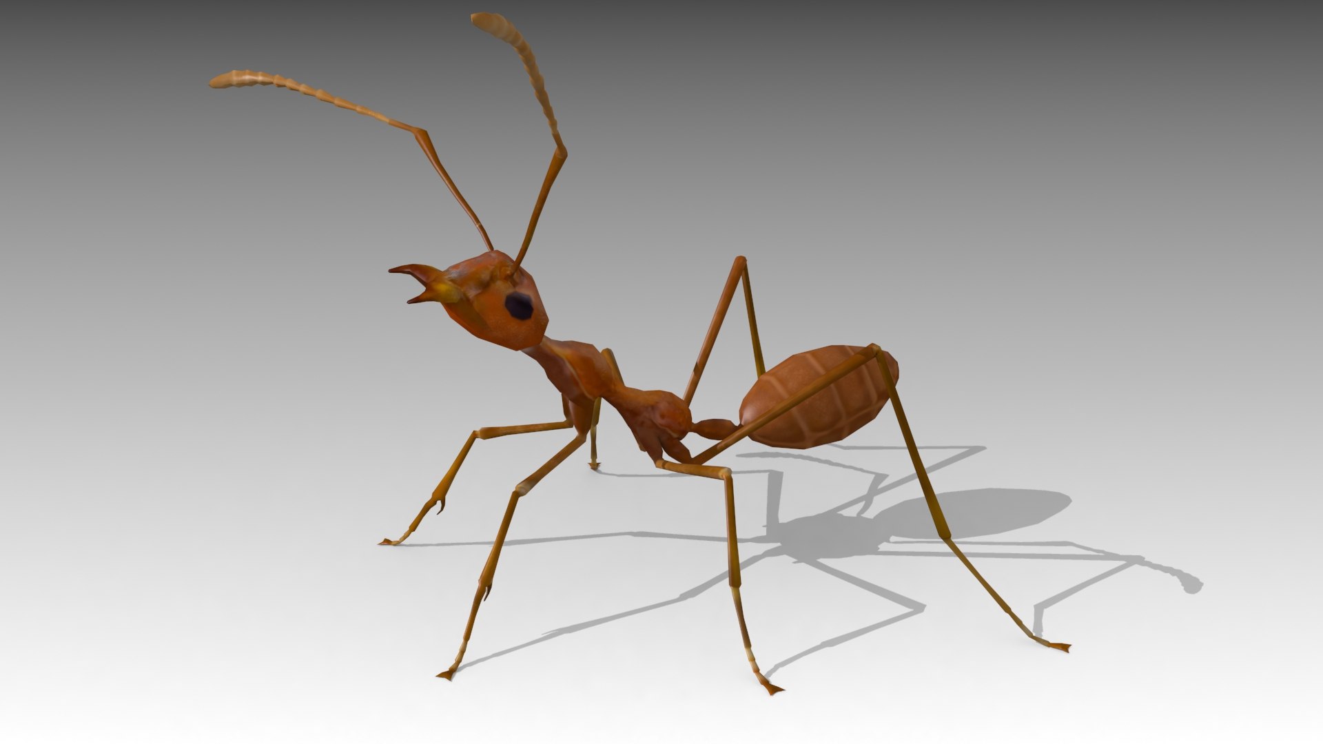 3D ant animations - TurboSquid 1333816