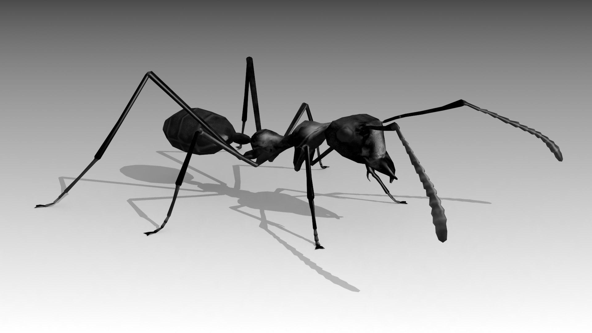 3D ant animations - TurboSquid 1333816