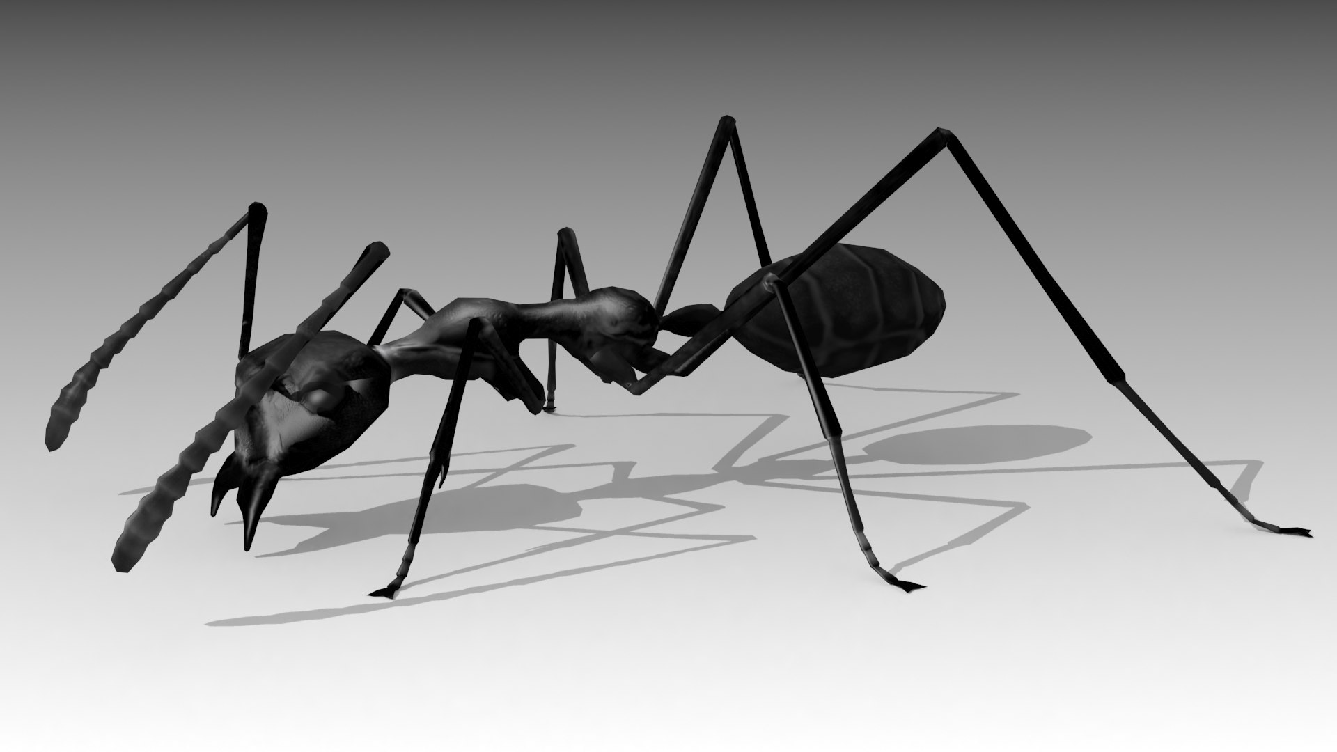 3D ant animations - TurboSquid 1333816