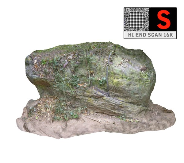 jungle rock 16k 3d obj