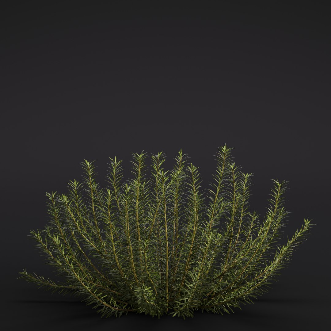 Archmodels Vol 286 3D - TurboSquid 2226337