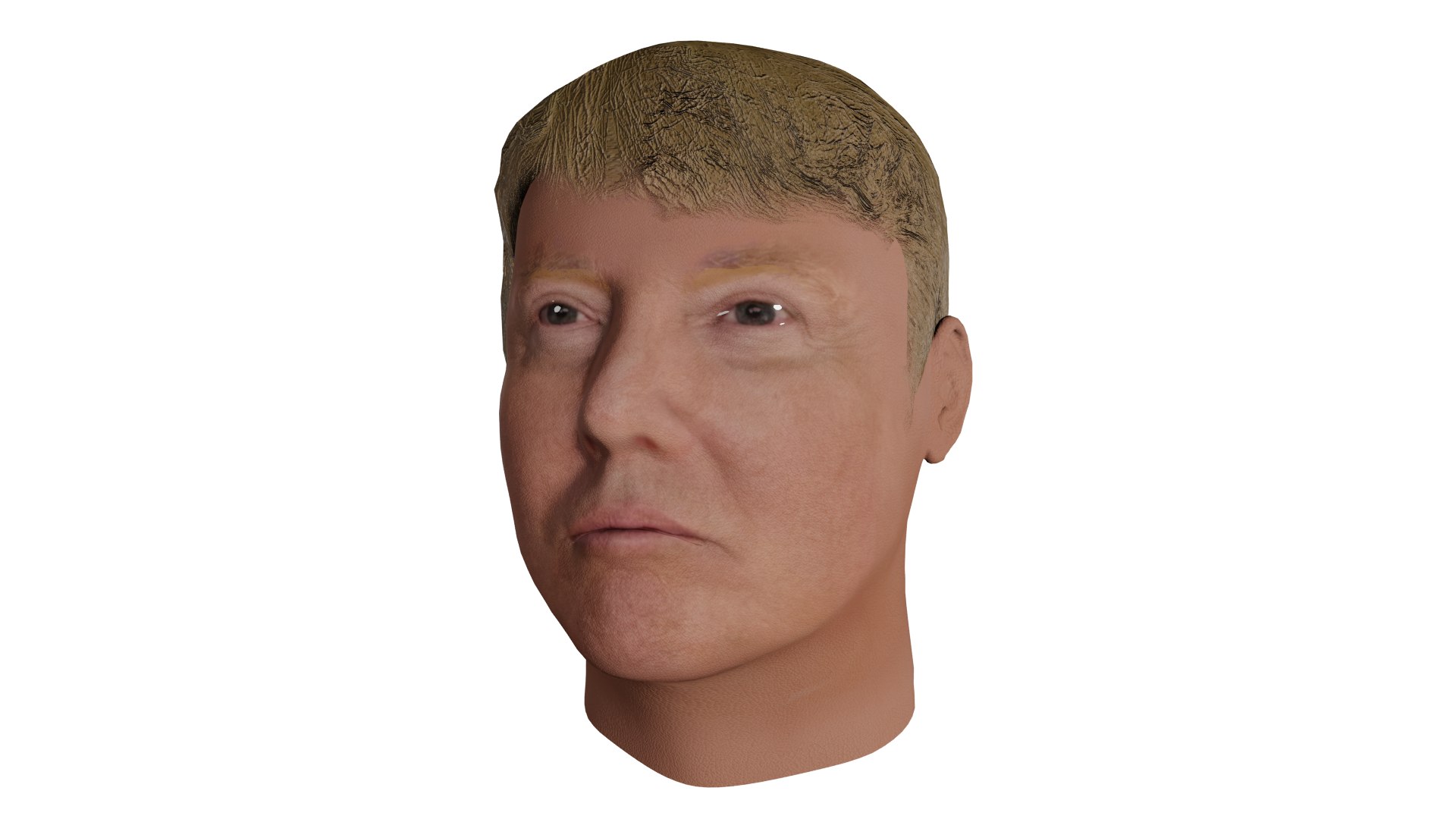 Young Donald Trump Head PBR 3D - TurboSquid 2299253