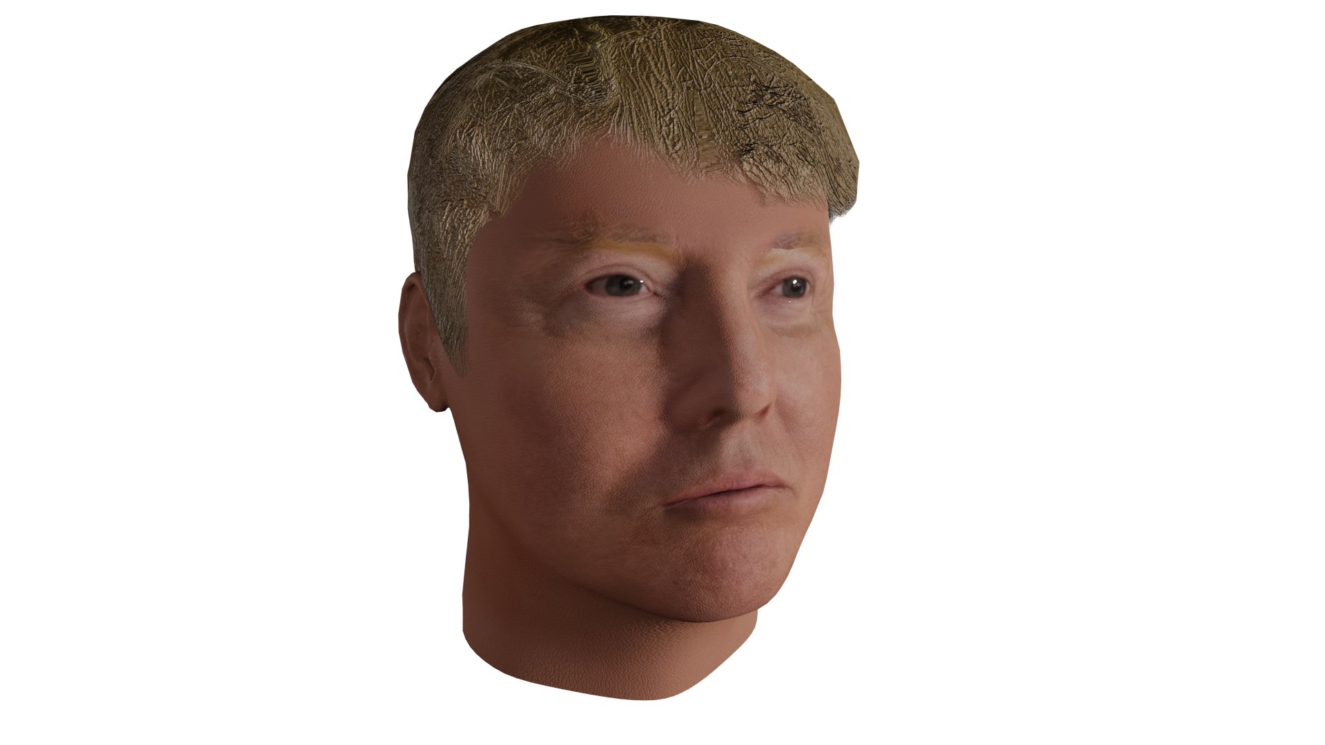 Young Donald Trump Head PBR 3D - TurboSquid 2299253