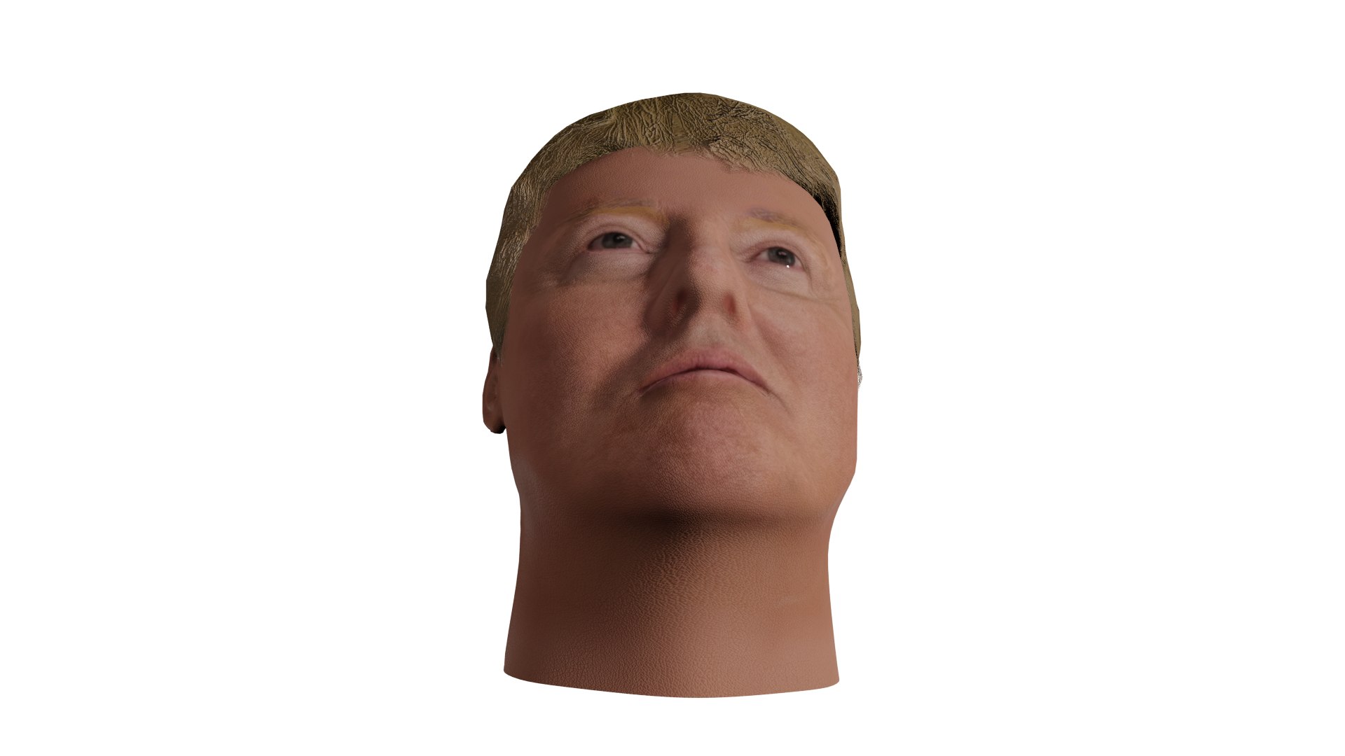 Young Donald Trump Head PBR 3D - TurboSquid 2299253