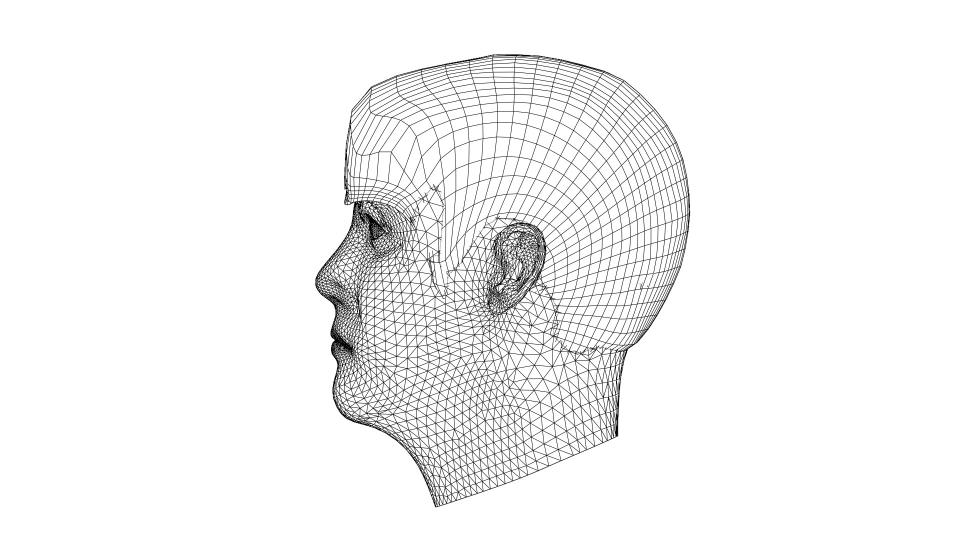 Young Donald Trump Head PBR 3D - TurboSquid 2299253