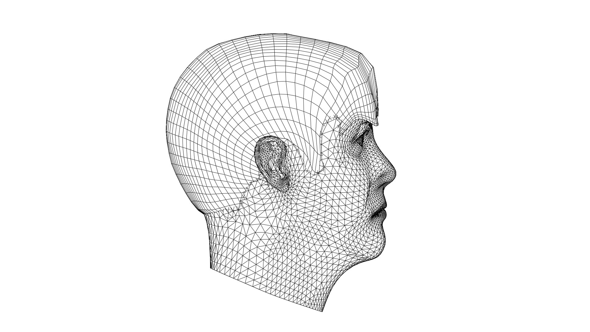 Young Donald Trump Head PBR 3D - TurboSquid 2299253