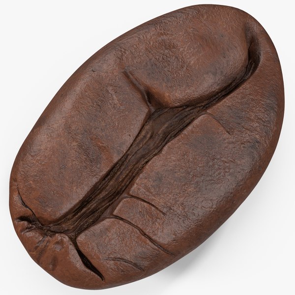 Coffee Bean 3D Models for Download | TurboSquid