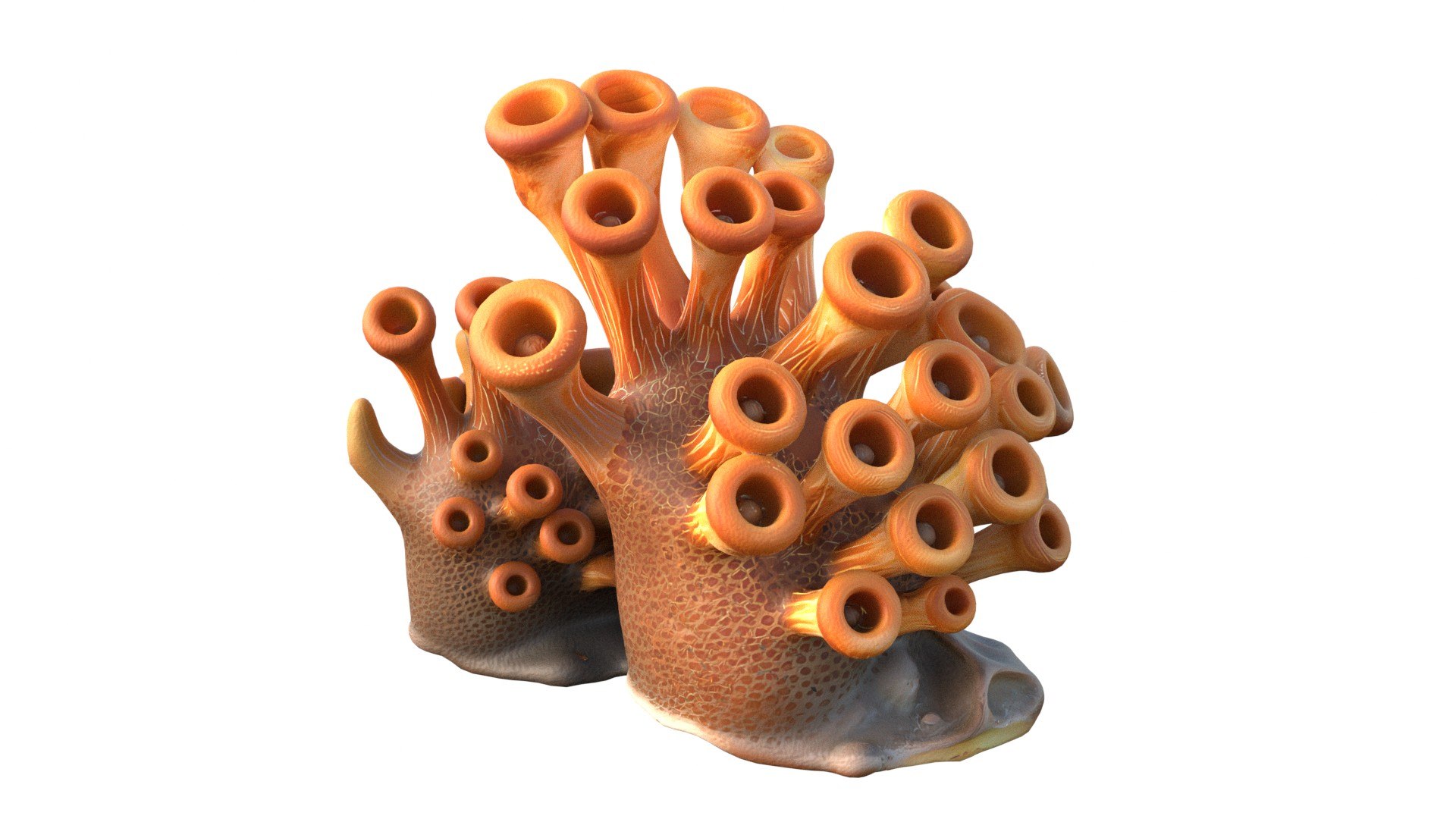 3D Model Coral Reef 02 - TurboSquid 2455759