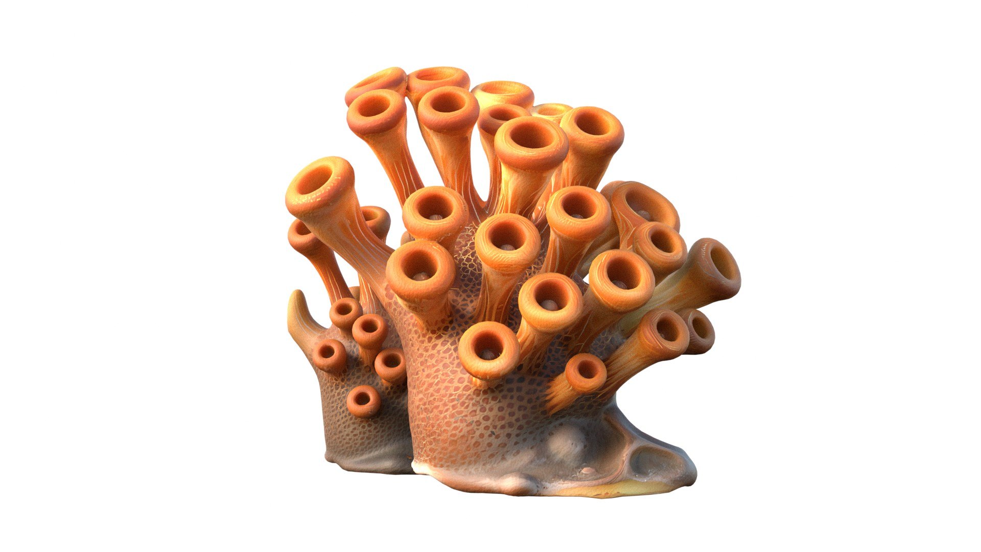 3D Model Coral Reef 02 - TurboSquid 2455759