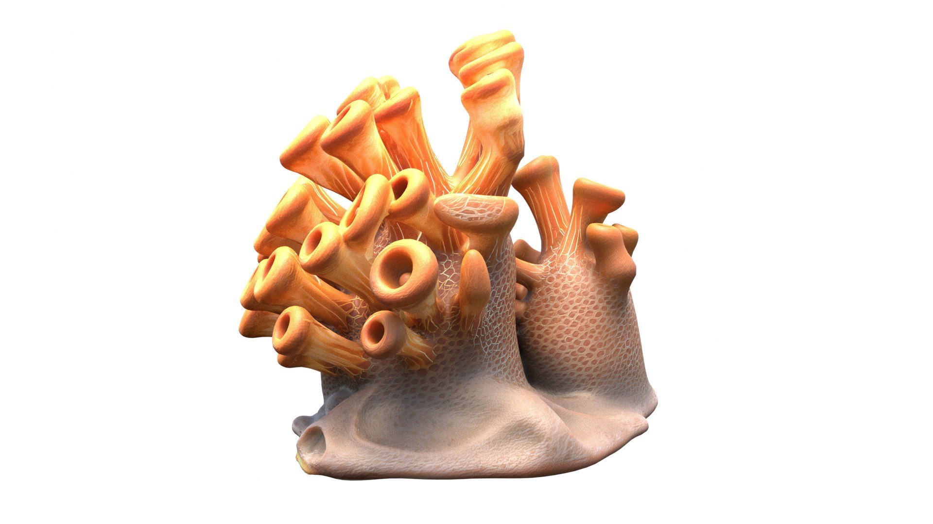 3D Model Coral Reef 02 - TurboSquid 2455759