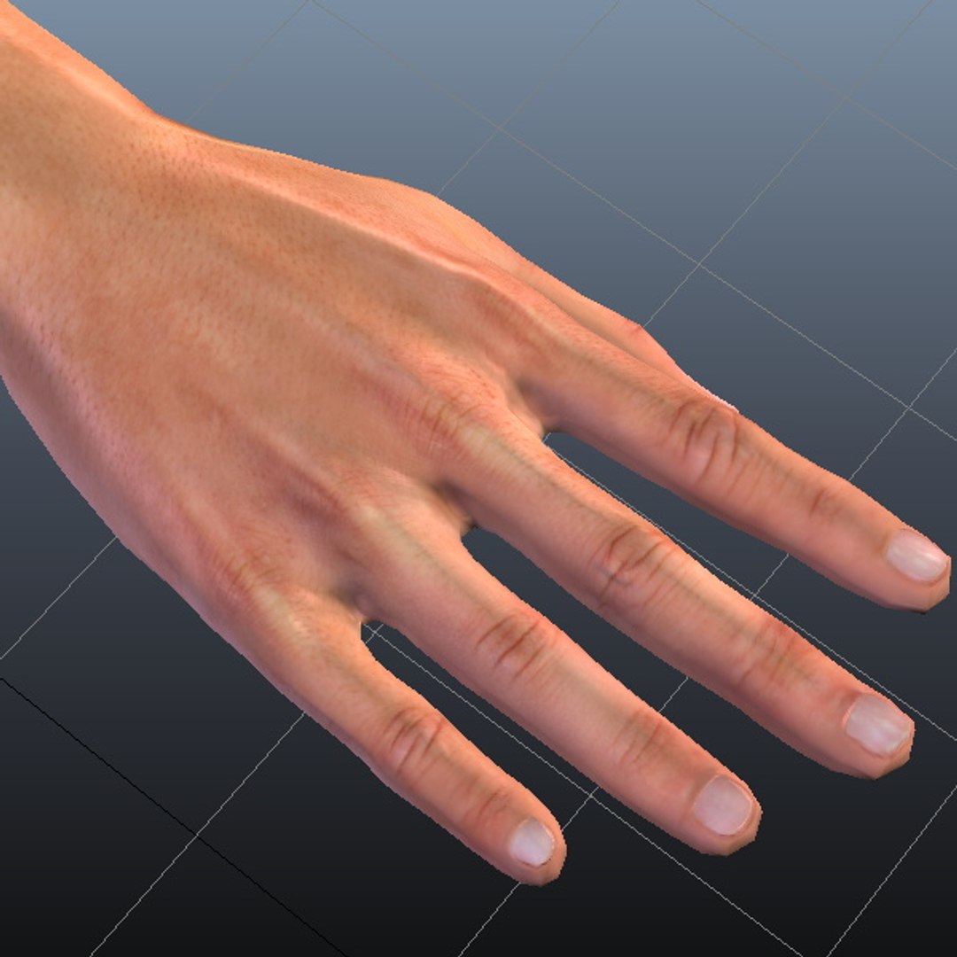 C4d Male Body