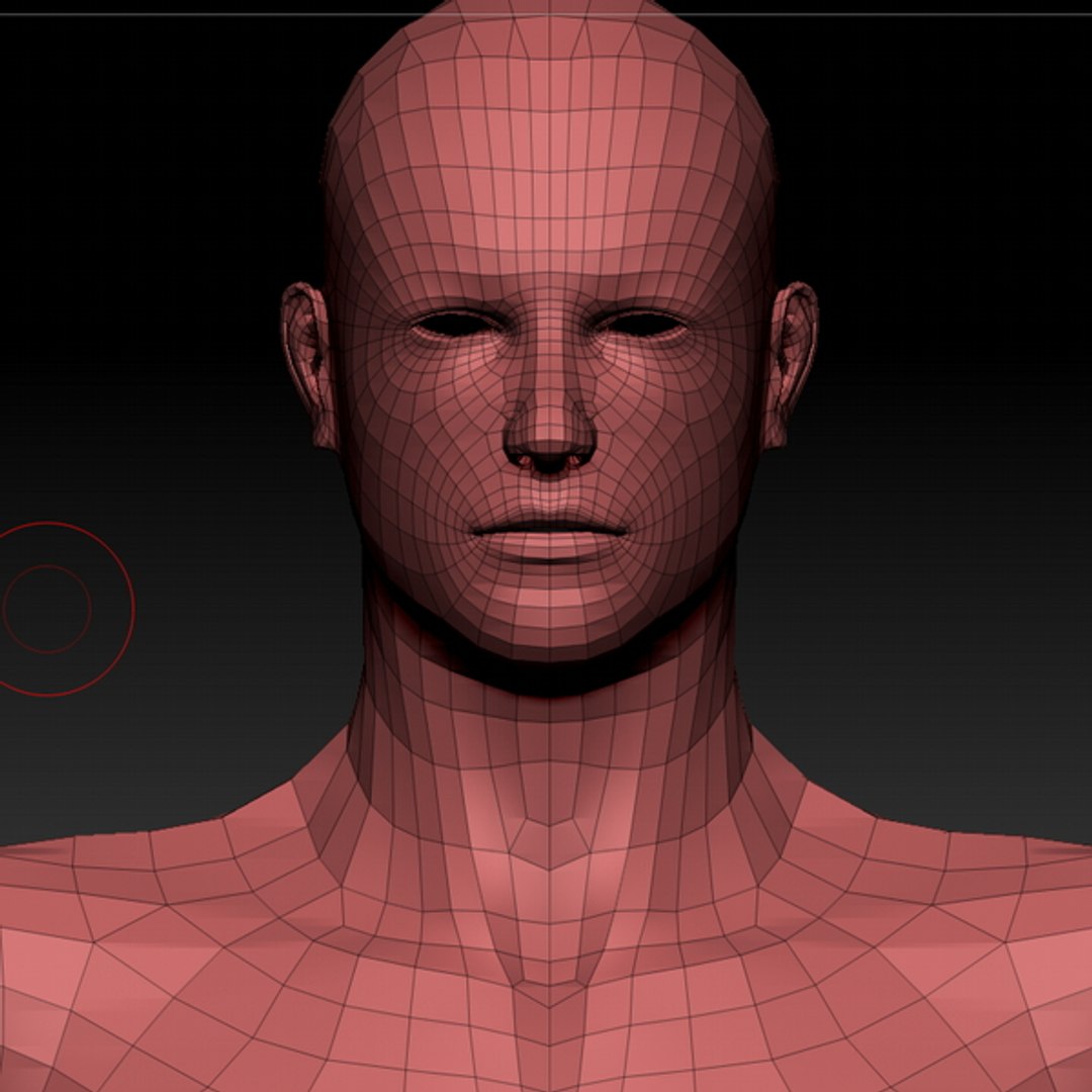 C4d Male Body