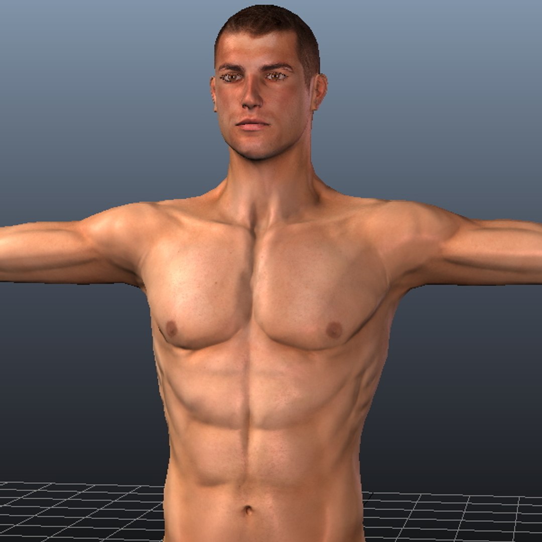 C4d Male Body