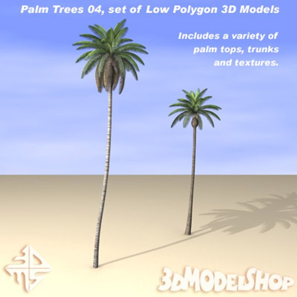 palm scene 3d model