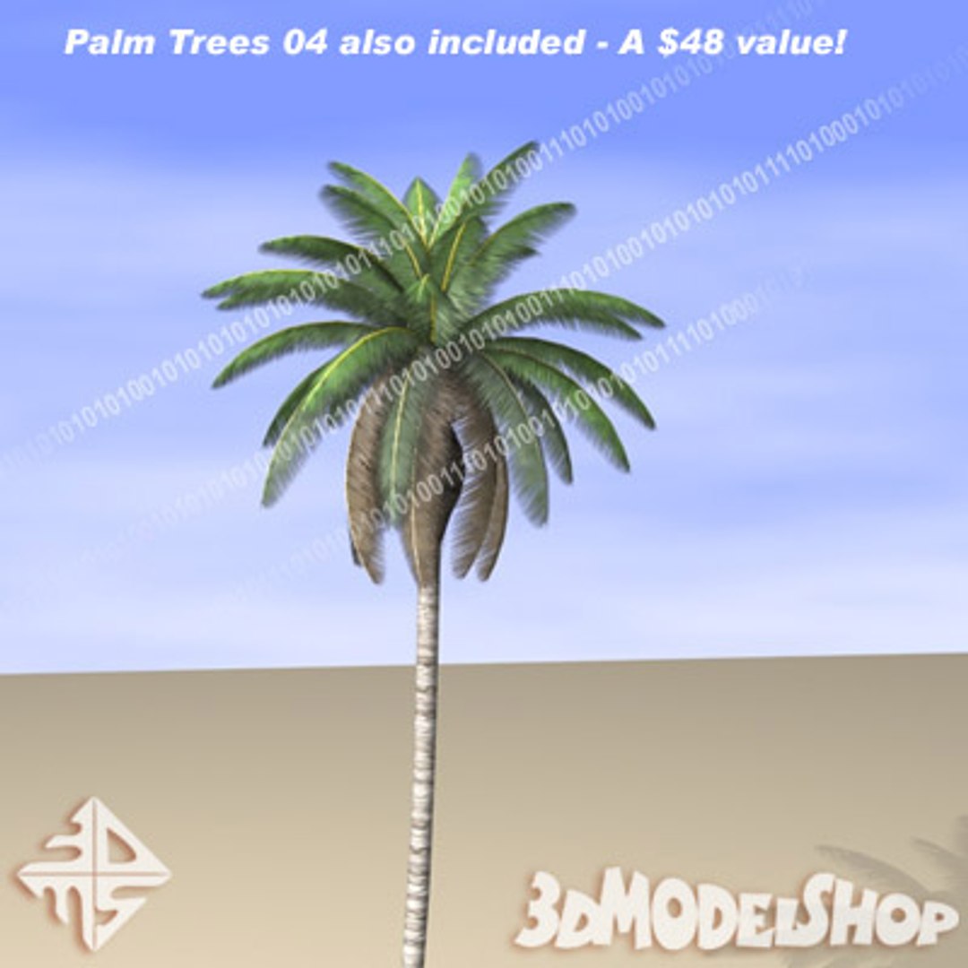 Palm Scene 3d Model