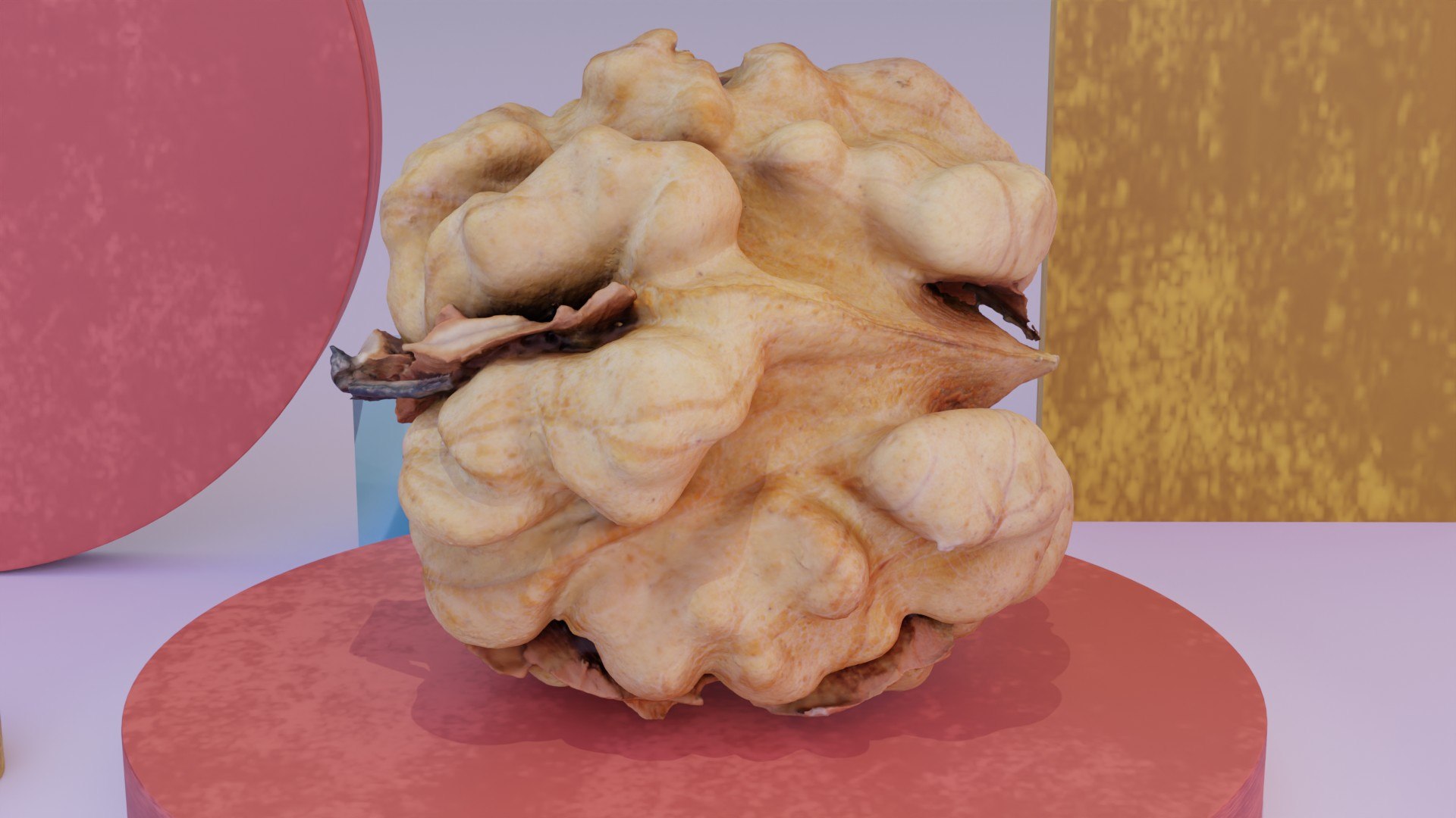 Walnut Kernel 01 High-poly 3D Model 3D - TurboSquid 1852009