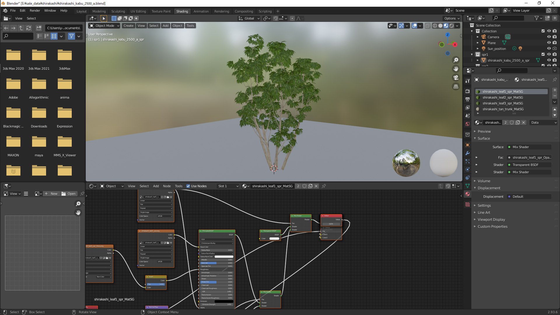 3D Model Shirakashi Kabu 2500 A - TurboSquid 1825337