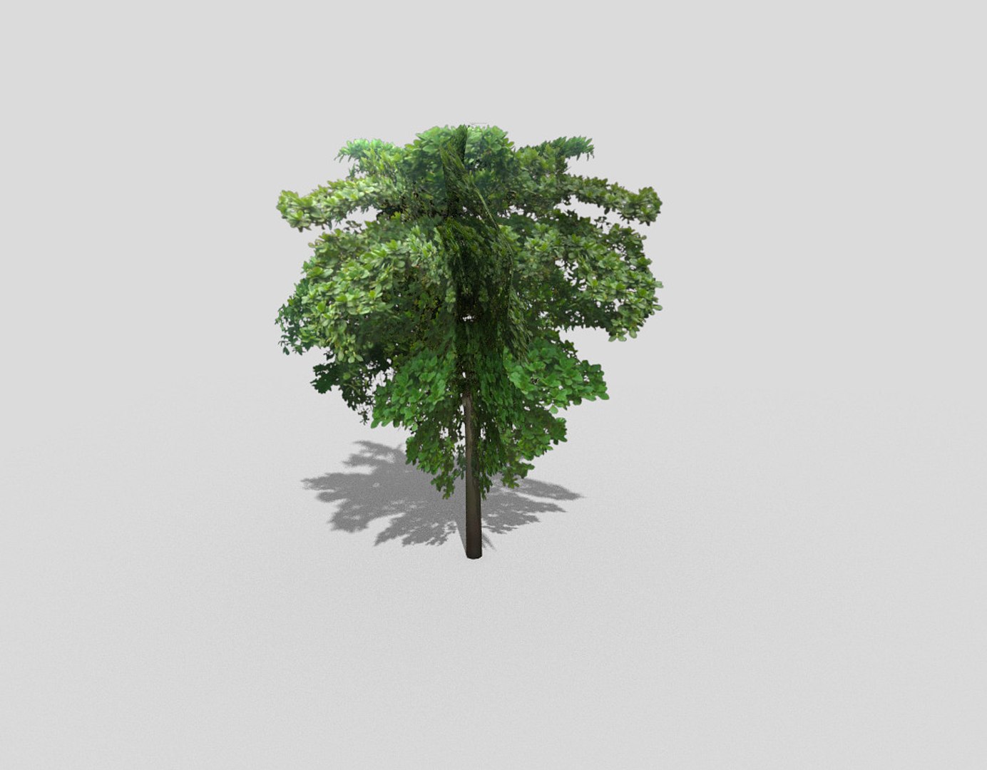 Tree 3ds