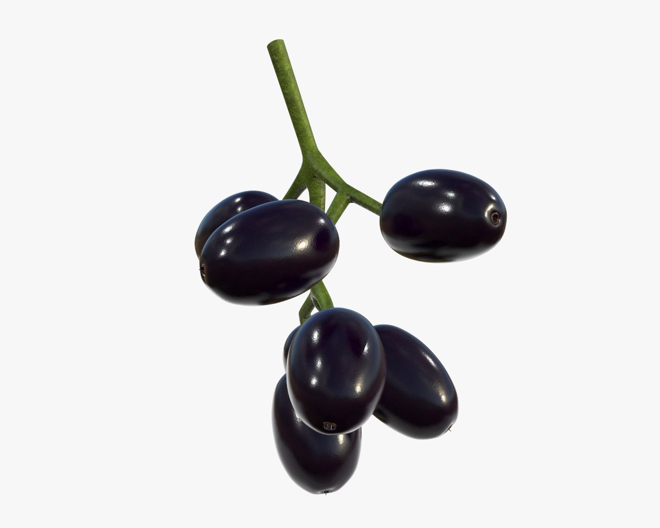 3D plum jambolan model - TurboSquid 1422619